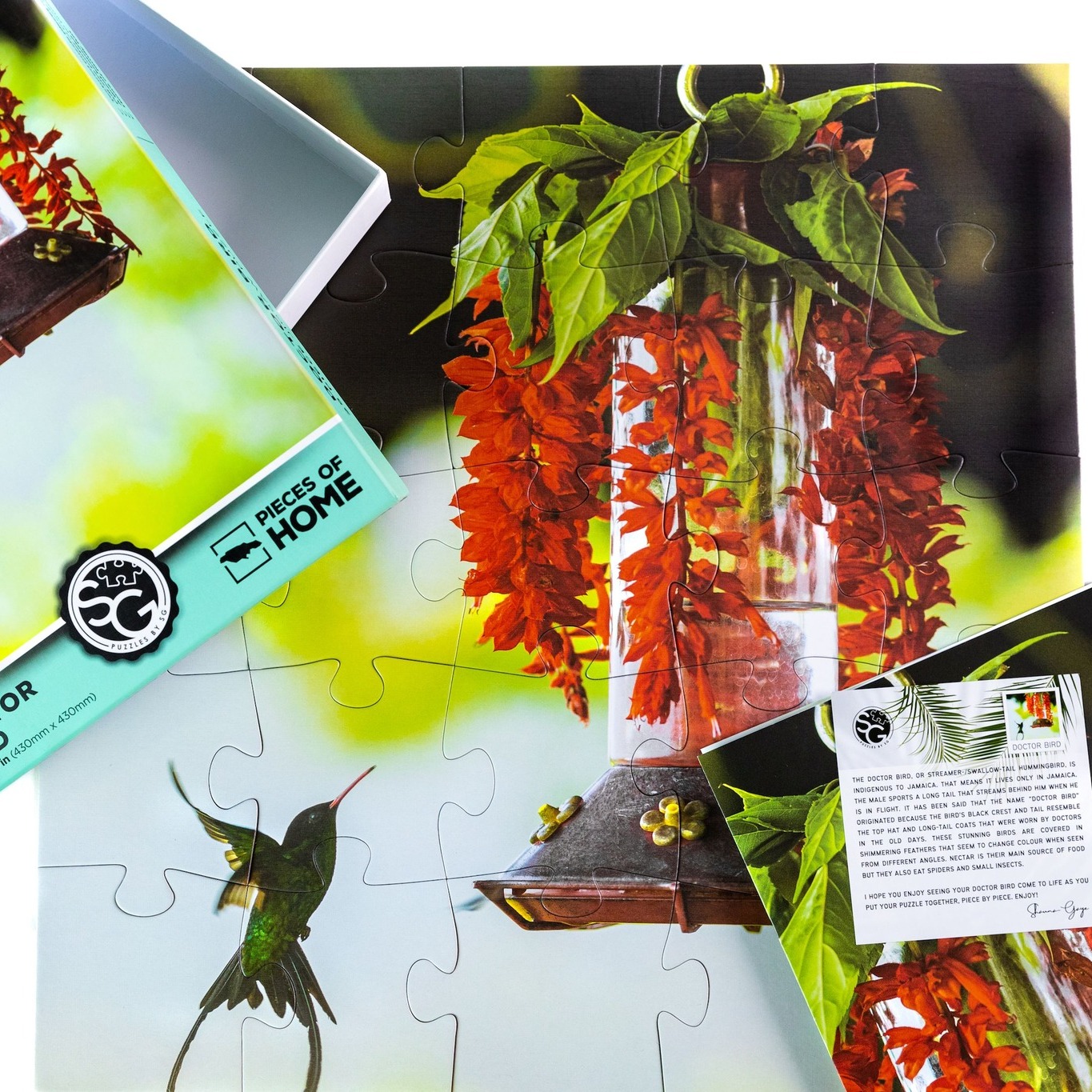 Why Jamaica’s Doctor Bird is the Star of Our Puzzle Collection ...